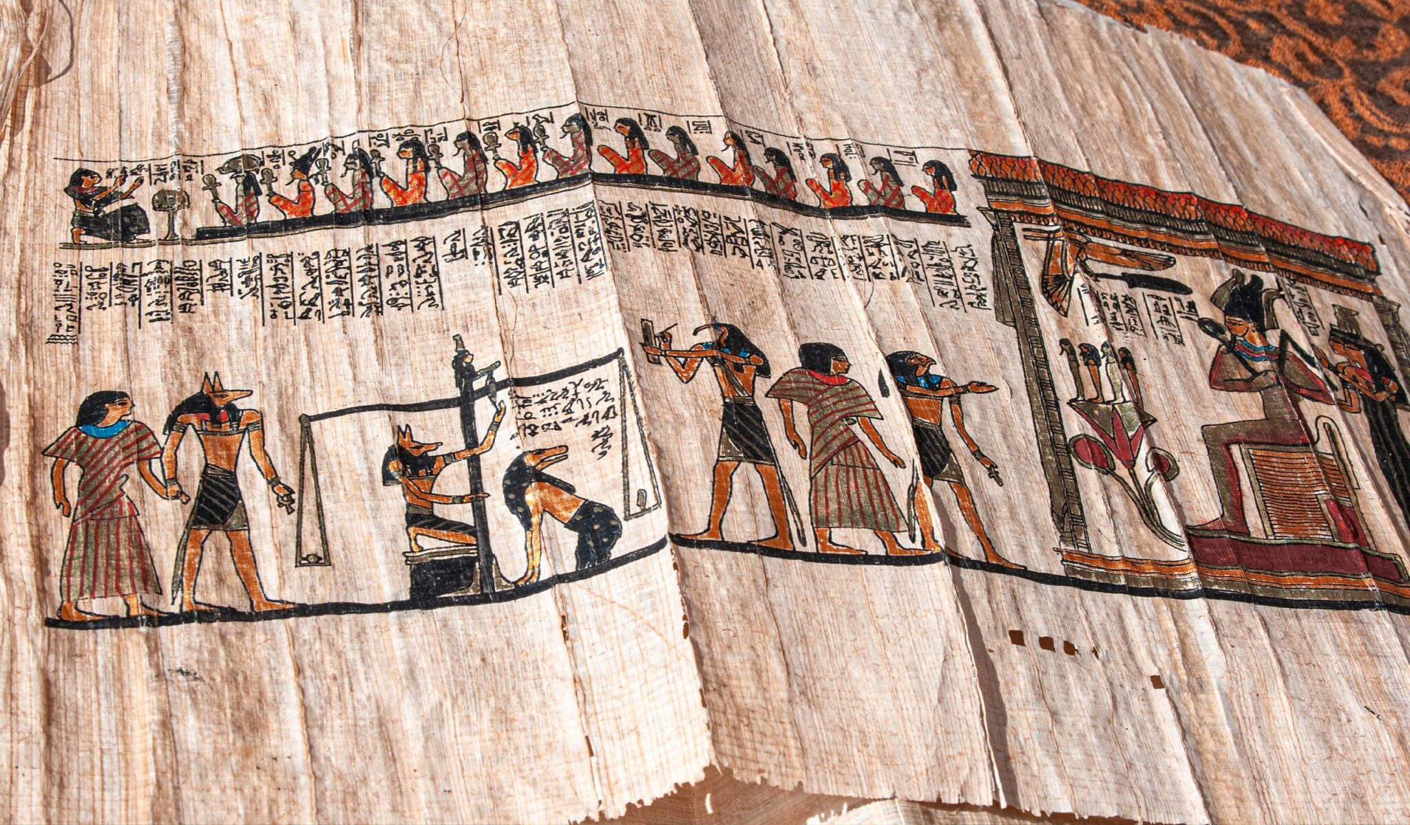 Papyrus and parchment: what they are and what the differences are