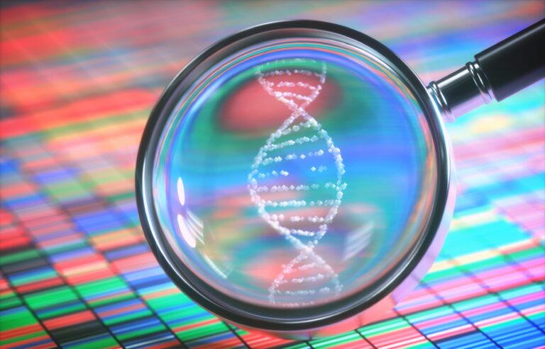 The DNA test in the investigation: what it is, how it works and how ...