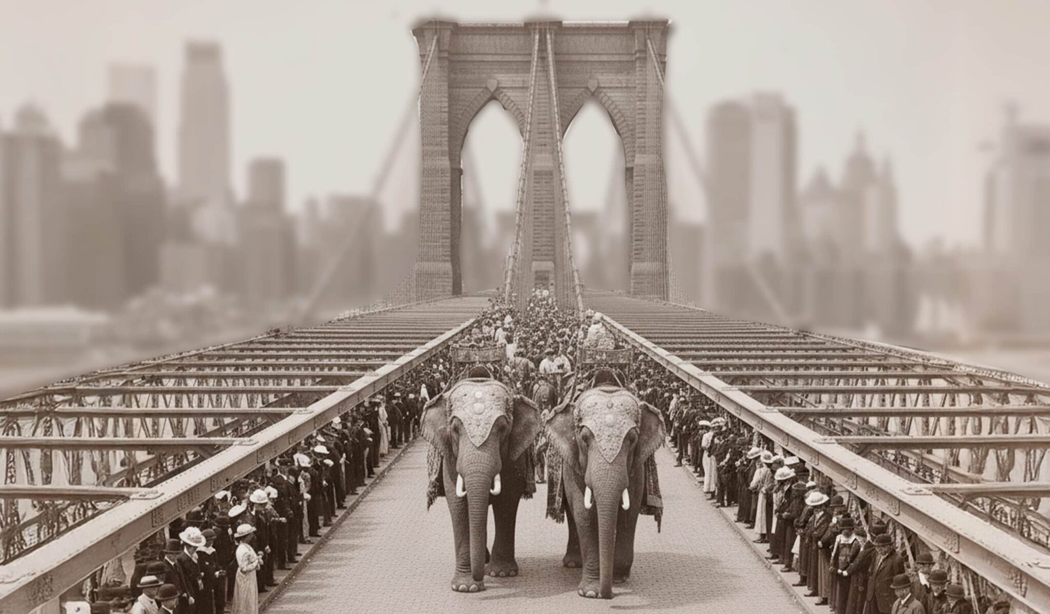 Why was 21 elephants crossed the Brooklyn Bridge in 1884?