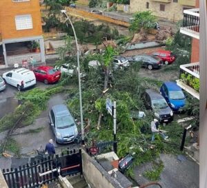 Tornado in Rome, damage and uprooted trees in Montesacro: yellow alert ...